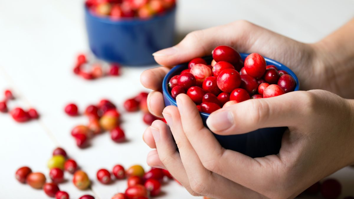 Eat With the Seasons: 15 Fruits and Vegetables for Fall Time Plates - I ...
