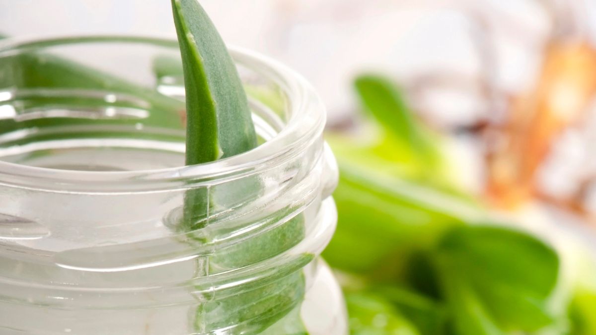 15 Healthiest Juices You Should Be Drinking for a Nutrient Boost - I ...